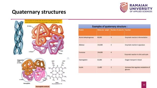 LEVELS OF PROTEIN STRUCTURE, DOMAINS, MOTIFS, AND FOLDS IN PROTEIN ...