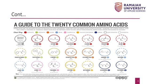 LEVELS OF PROTEIN STRUCTURE, DOMAINS, MOTIFS, AND FOLDS IN PROTEIN ...