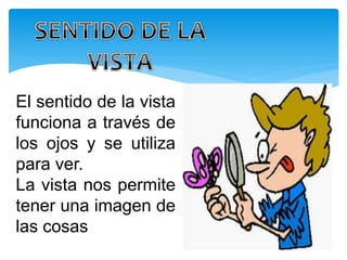 Los 5 sentidos | PPT | Descarga Gratuita