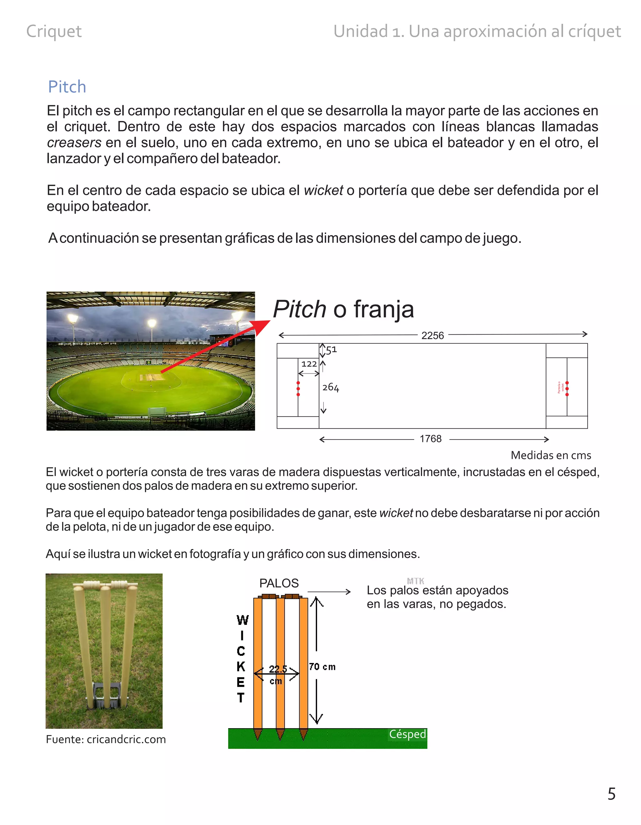 Aproximación al criquet | PDF