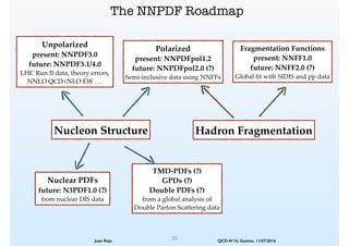 Neural Network Fits of Parton Distributions | PDF