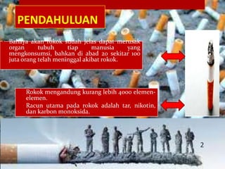 Rokok | PPT