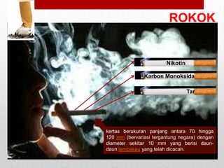 Rokok | PPT