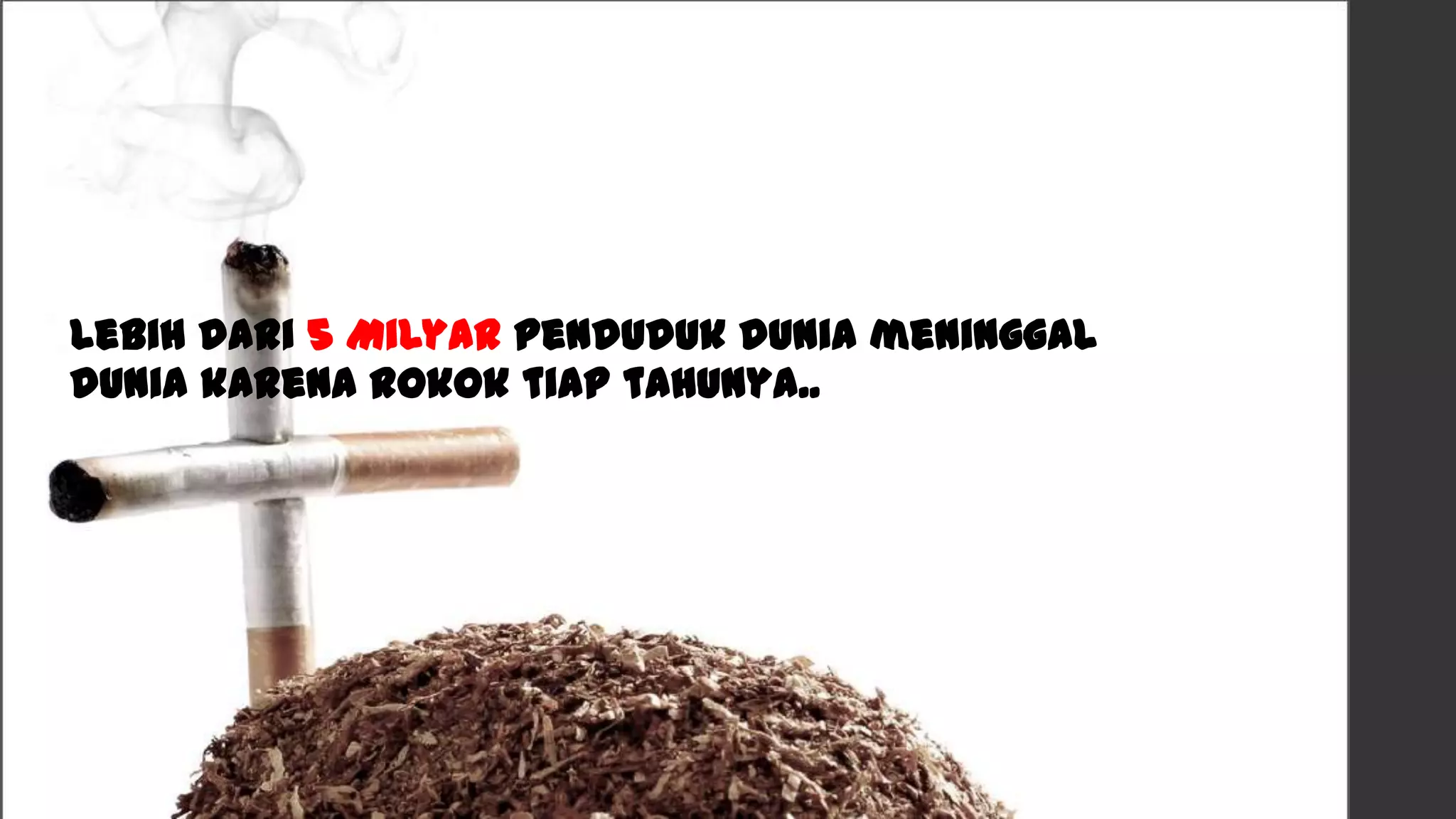 Bahaya Merokok | PPTX