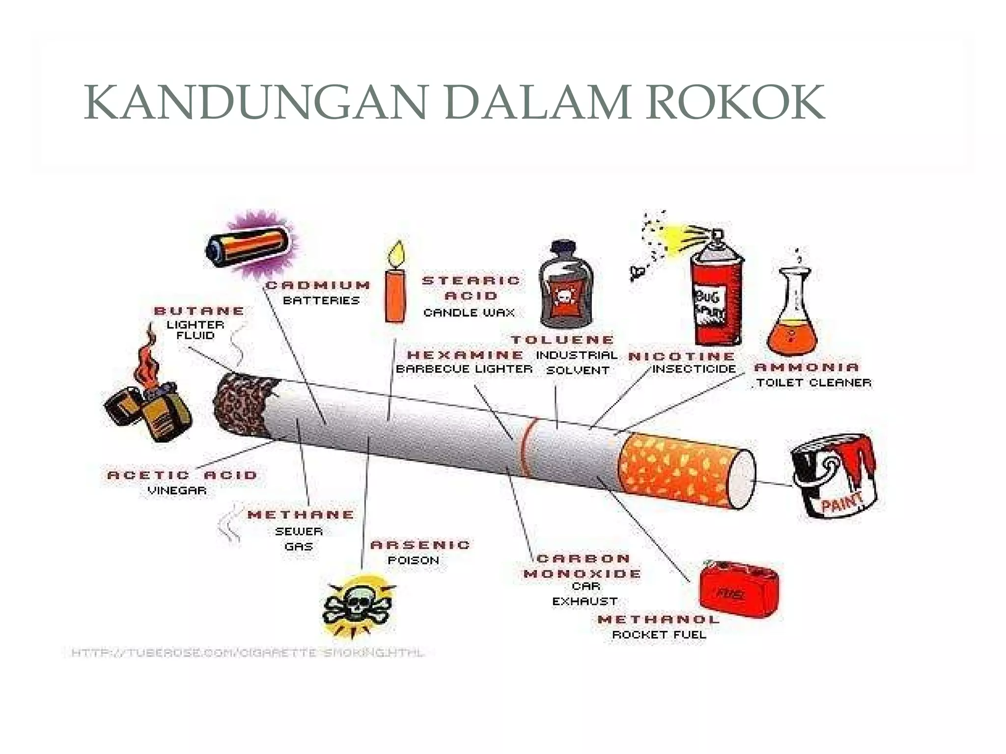 Rokok itu berbahayaa | PPT