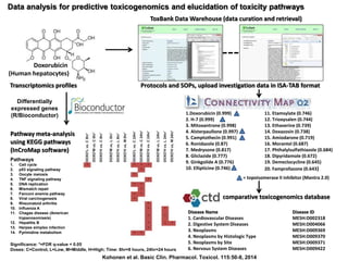 Grafström - Lush Prize Conference 2014 | PPTX