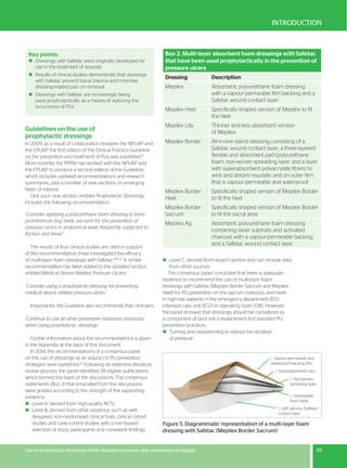 Role of multi-layer foam dressings with Safetac in the prevention of ...