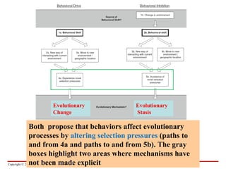 Role Of Behavior In Evolution 1 | PPT