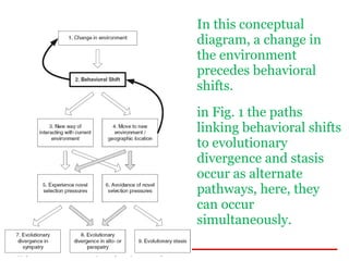 Role Of Behavior In Evolution 1 | PPT