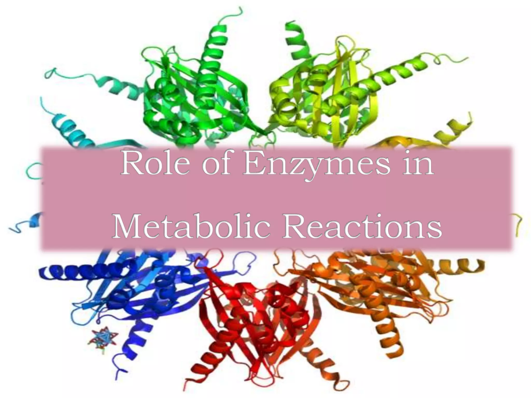 Role of enzymes in metabolic reactions | PPTX