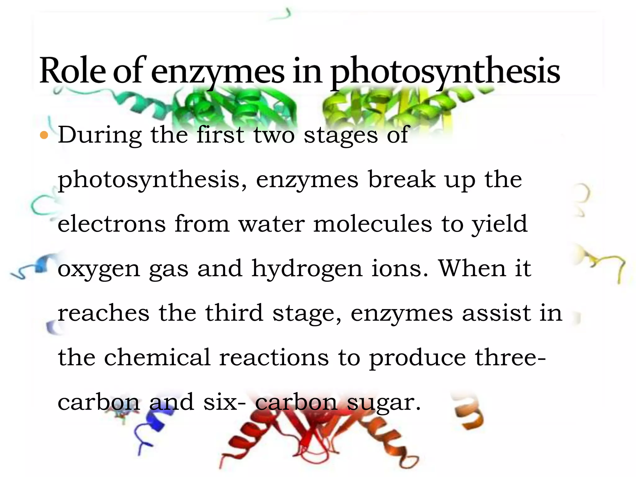 Role of enzymes in metabolic reactions | PPTX