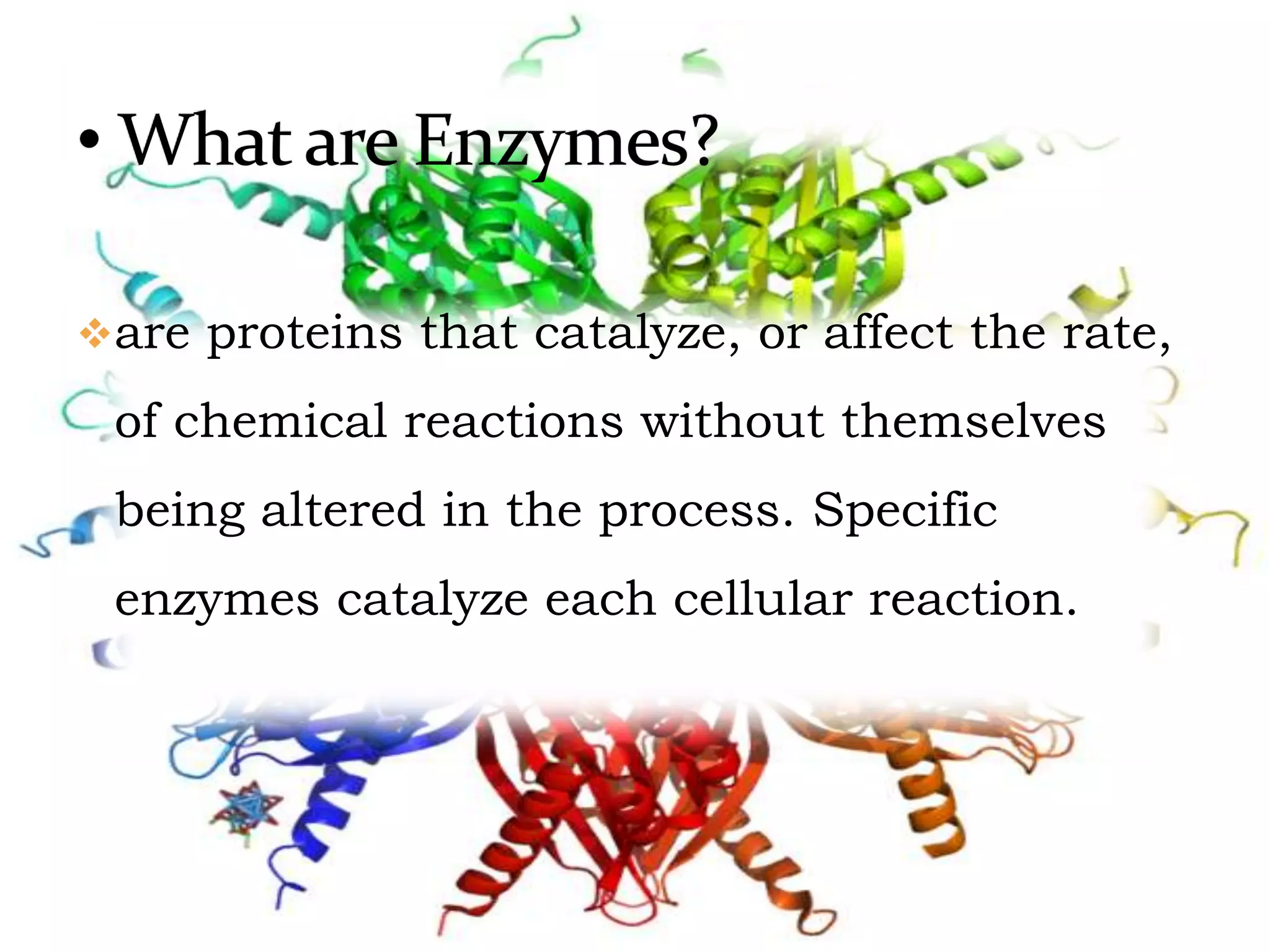 Role of enzymes in metabolic reactions | PPTX
