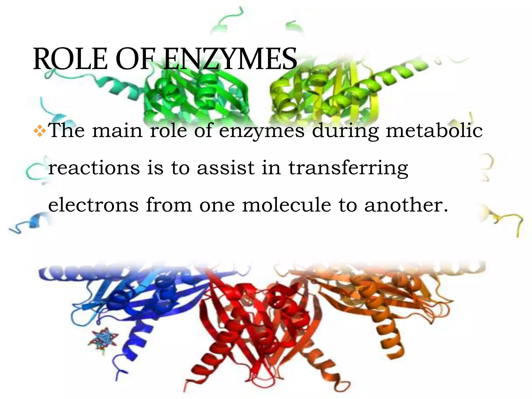 Role of enzymes in metabolic reactions | PPTX