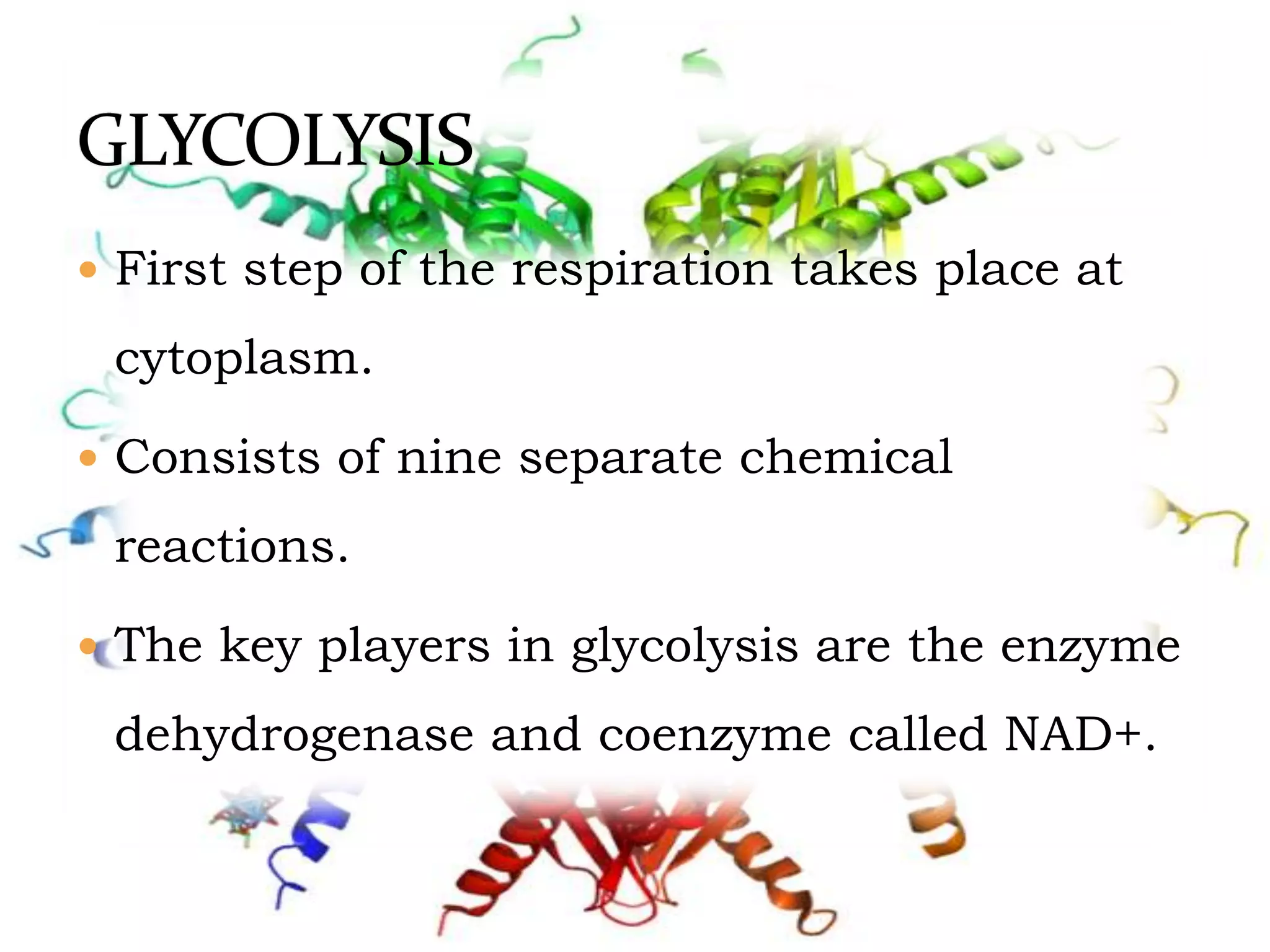 Role of enzymes in metabolic reactions | PPTX