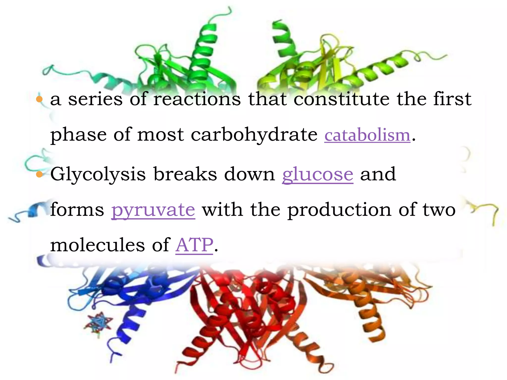 Role of enzymes in metabolic reactions | PPTX