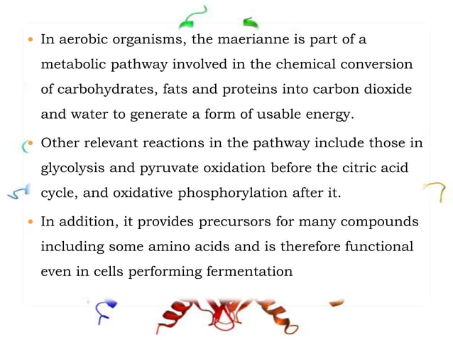 Role of enzymes in metabolic reactions | PPTX | Chemistry | Science