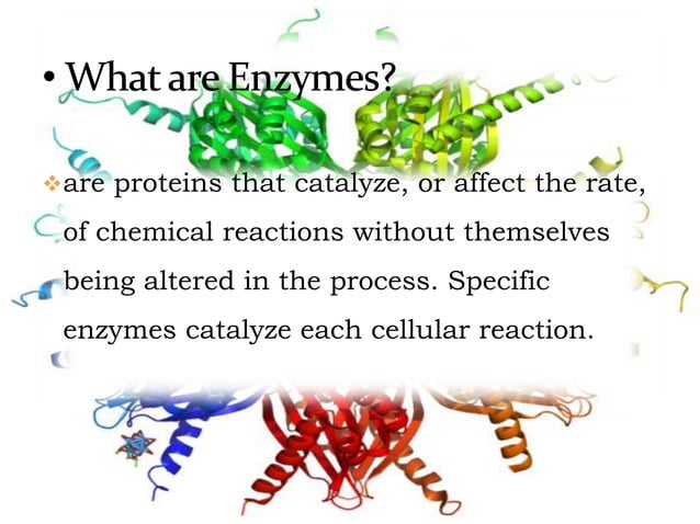 Role of enzymes in metabolic reactions | PPTX | Chemistry | Science