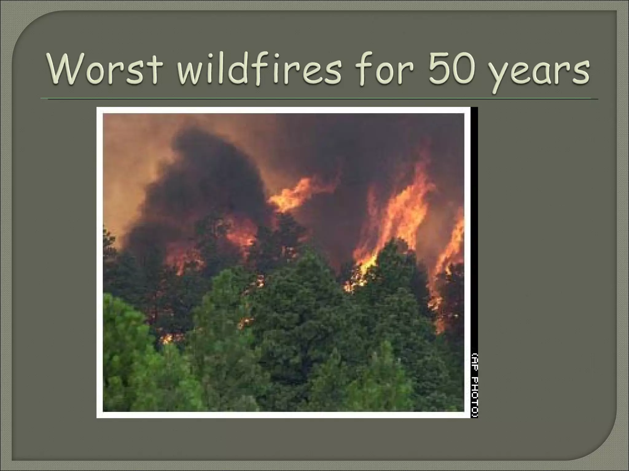 Role Of Fire In Forest Ecosystems | PPT | Gardening | Home & Garden