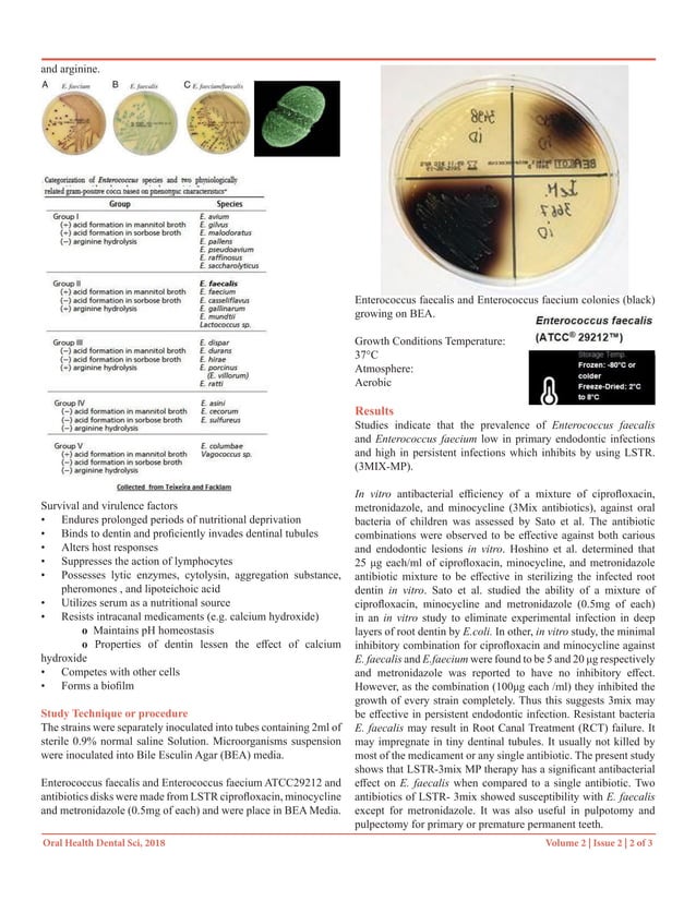 Role of-lstr-in-root-canal-therapy-particularly-against-enterococcus ...