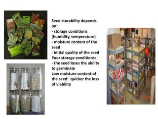 Role of-seed-in-vegetable-production | PPTX