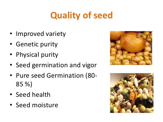 Role of-seed-in-vegetable-production