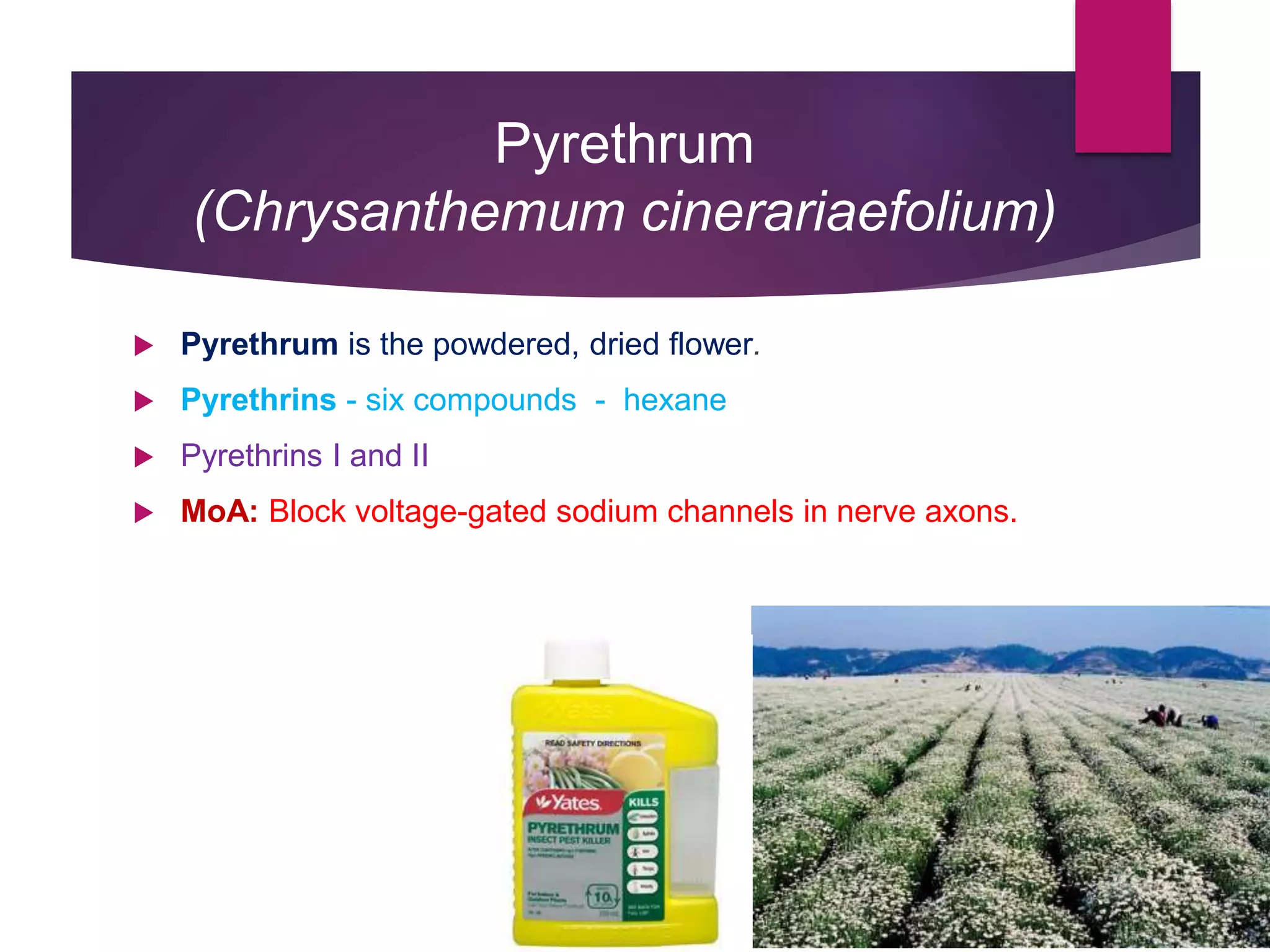 Role and mechanism of botanicals in pest management | PPTX