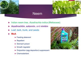 Role and mechanism of botanicals in pest management | PPTX