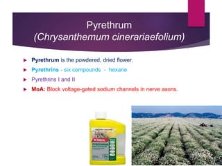 Role and mechanism of botanicals in pest management | PPTX