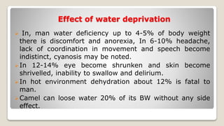 ROLE AND REQUIREMENT OF WATER slideshare.pptx