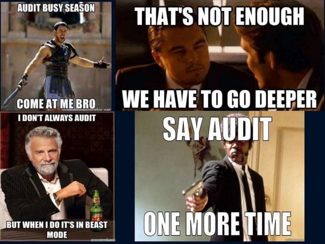 Role and responsibilities of auditor | PPTX