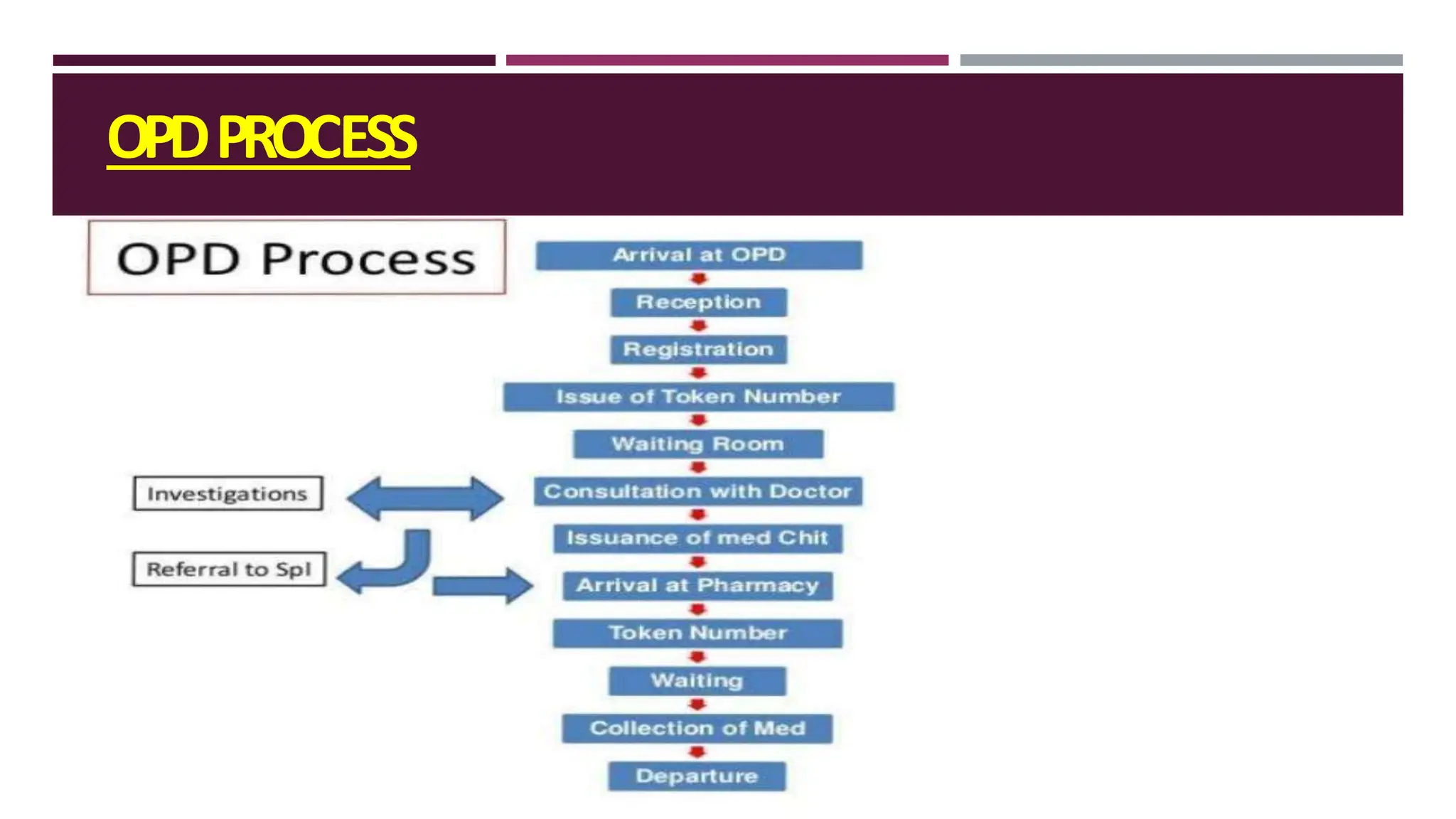 Role and responsibilities of nurses in IPD,OPD,ICU.pptx | Healthcare Industry | Industries