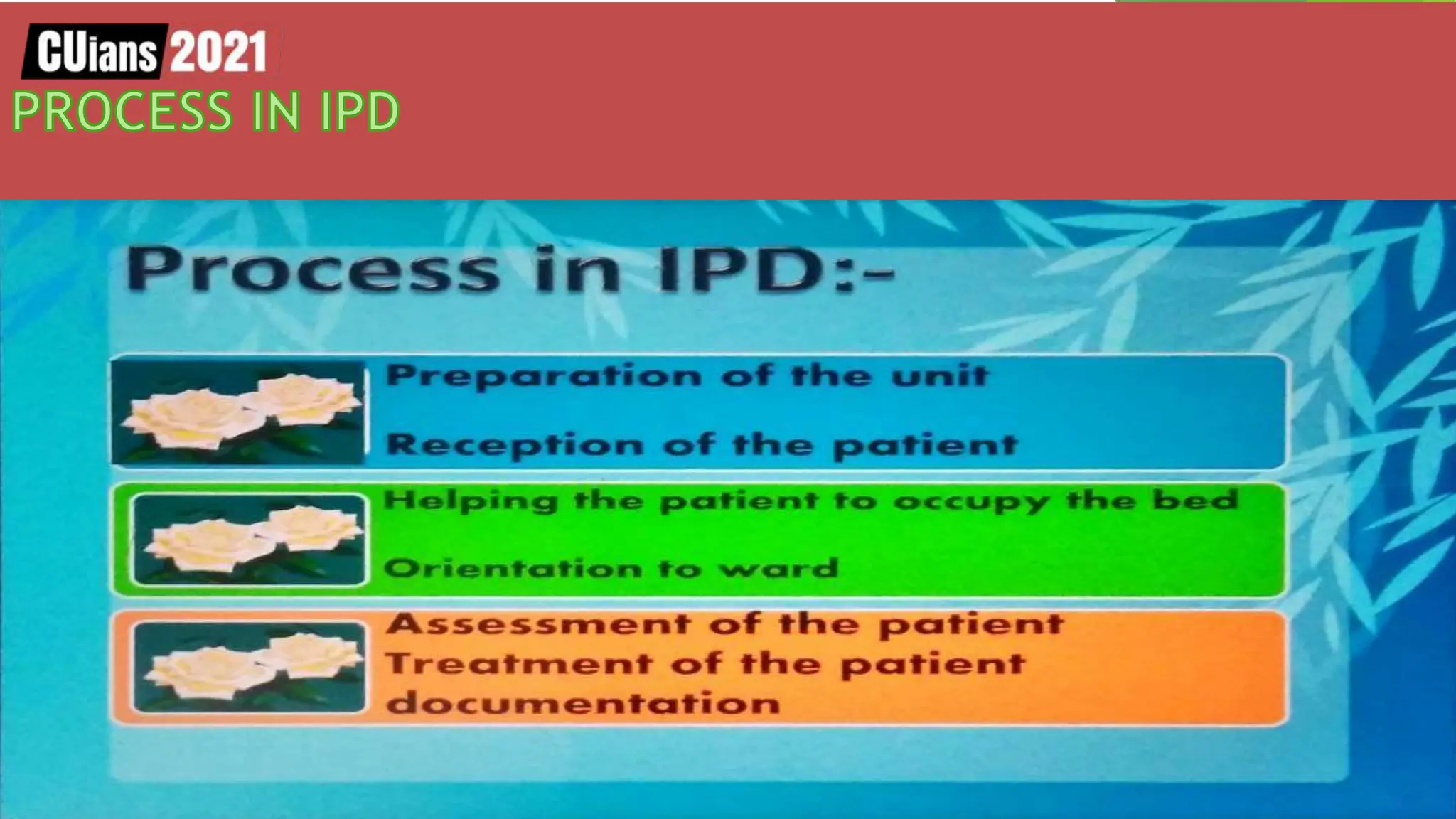 role and responsibility of nurses in ipd opd icu.pptx
