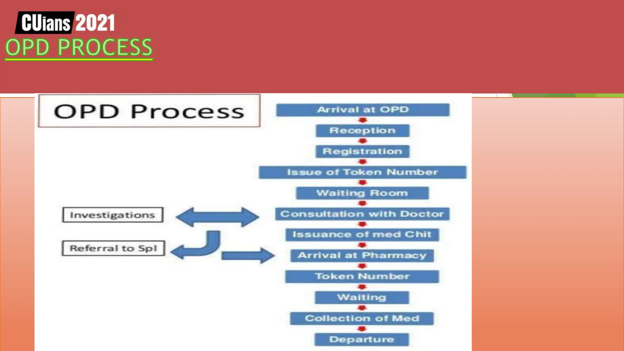 role and responsibility of nurses in ipd opd icu.pptx