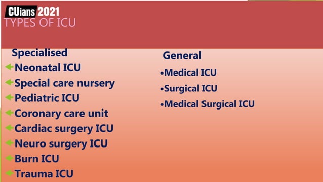 role and responsibility of nurses in ipd opd icu.pptx