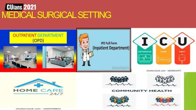 role and responsibility of nurses in ipd opd icu.pptx