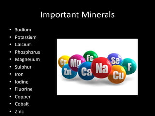 Role and source of important minerals bio project | PPTX