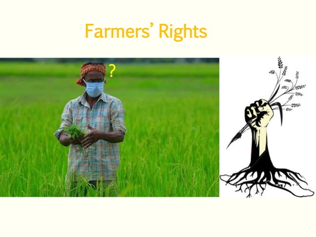 IPR in AGRICULTURE PLANT BREEDER'S FARMER'S RIGHTS | PPTX | Agriculture ...
