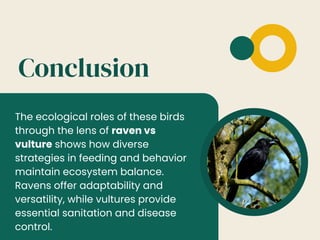 Role in Ecosystem Ravens vs Vultures | PDF