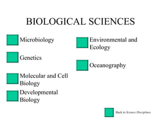 Role models in the physical sciences | PPT