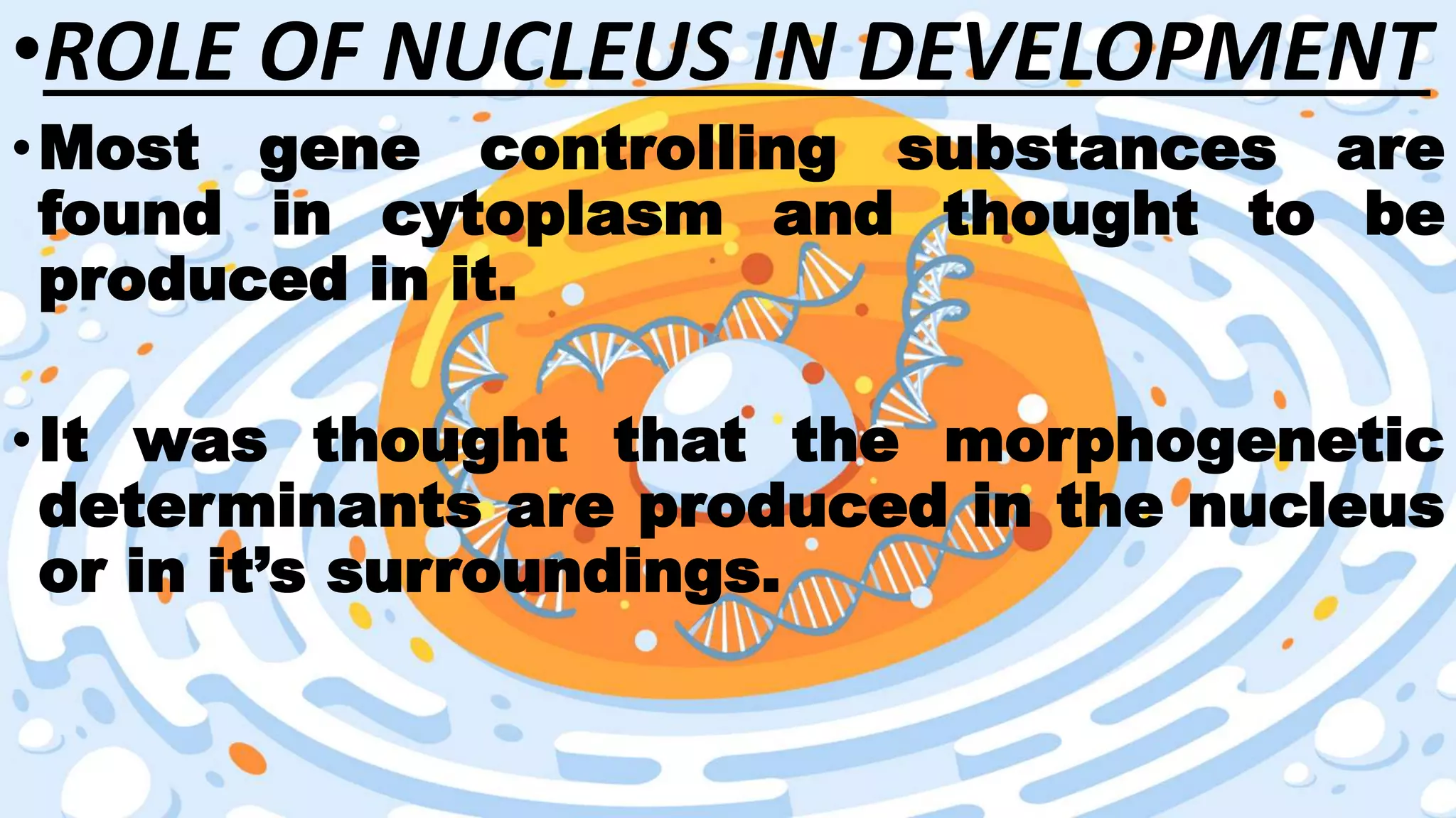 Role of CYTOPLASM AND NUCLEUS IN DEVELOPMENT | PPTX