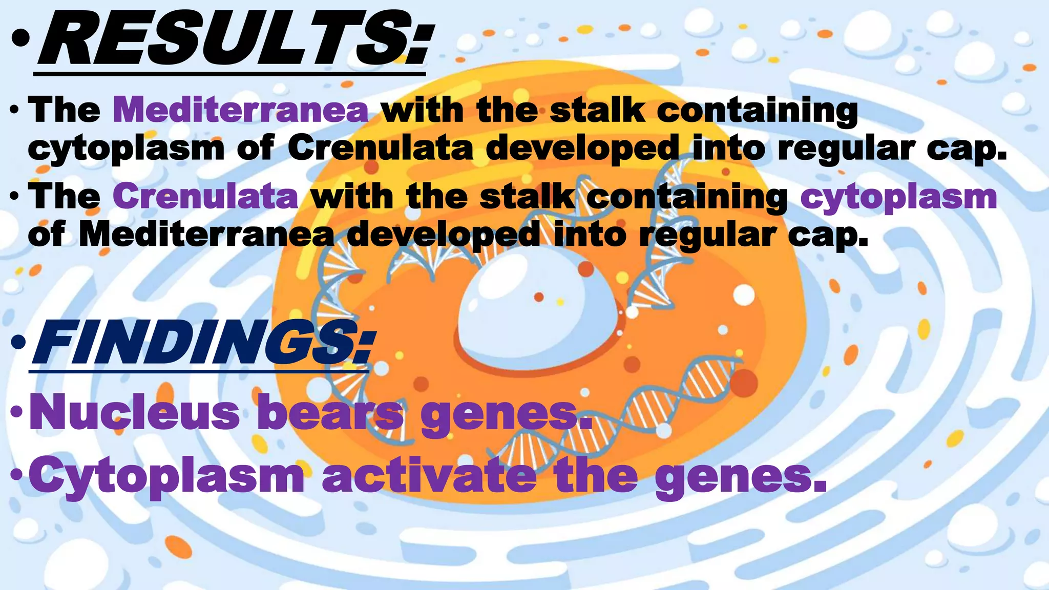 Role of CYTOPLASM AND NUCLEUS IN DEVELOPMENT | PPTX
