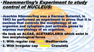 Role of CYTOPLASM AND NUCLEUS IN DEVELOPMENT | PPTX