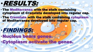 Role of CYTOPLASM AND NUCLEUS IN DEVELOPMENT | PPTX