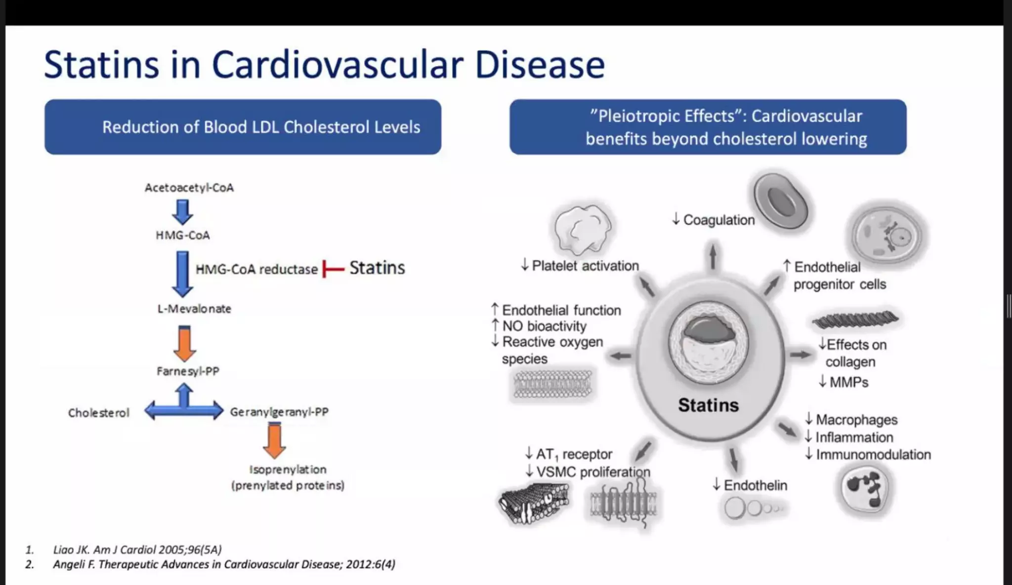 Role of 3rd Generation Water-Soluble Statin in Managing Dyslipidemia in ACS Patiens.pdf