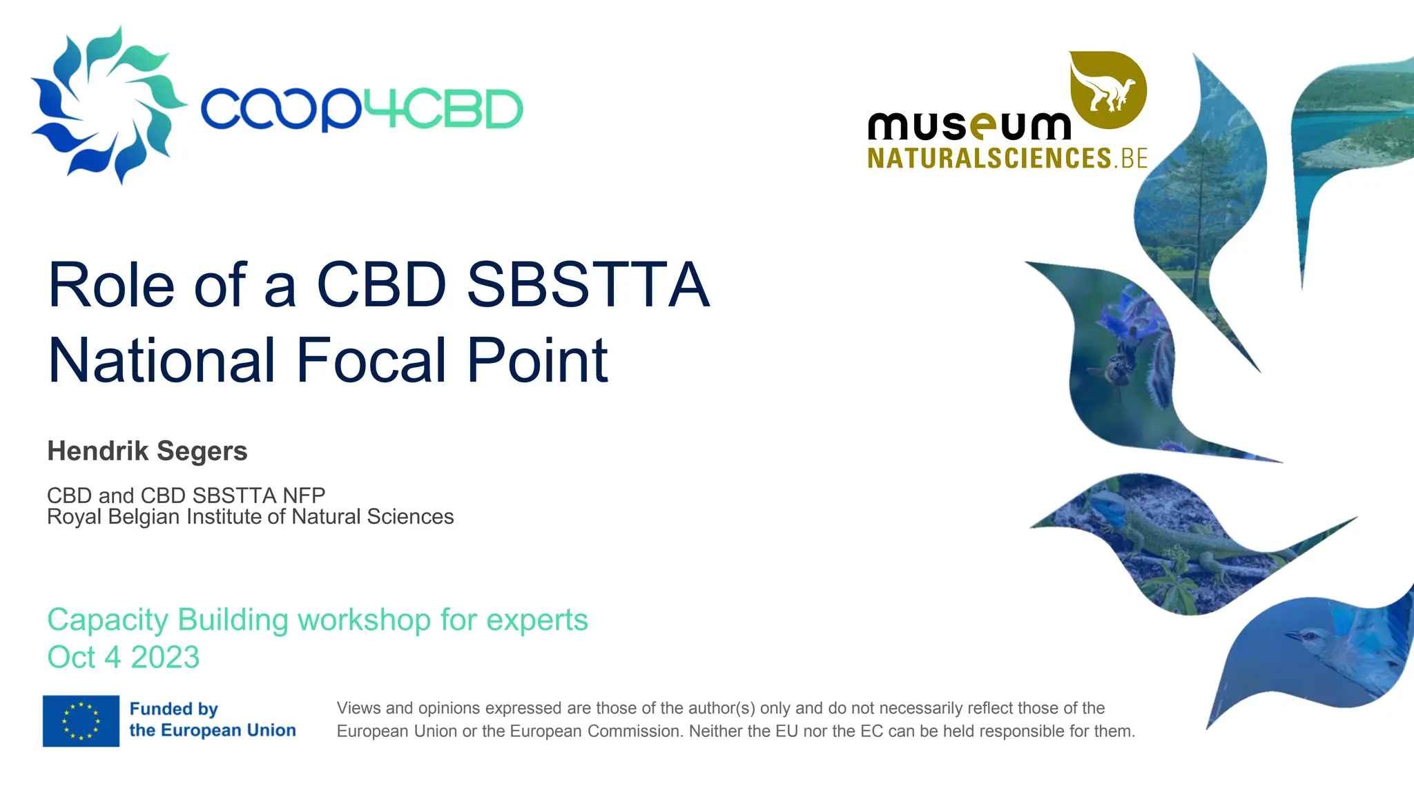 Role of a CBD SBSTTA NFP.pdf