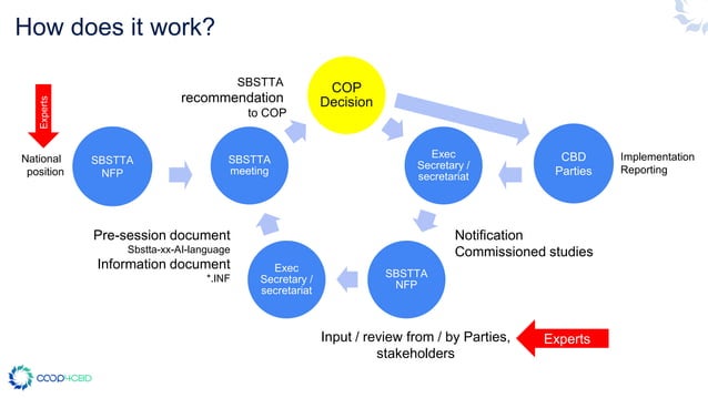 Role of a CBD SBSTTA NFP.pdf