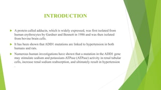 ROLE OF ADD1 GENE IN HYPERTENSIVE PATIENTS.pptx