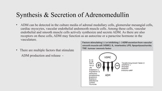 Role of Adrenomudellin in Cardiovascular Diseases.pptx