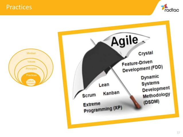 Role of the Project Manager in Agile | PPT