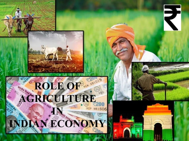 Role of agriculture in Indian economy | PPTX
